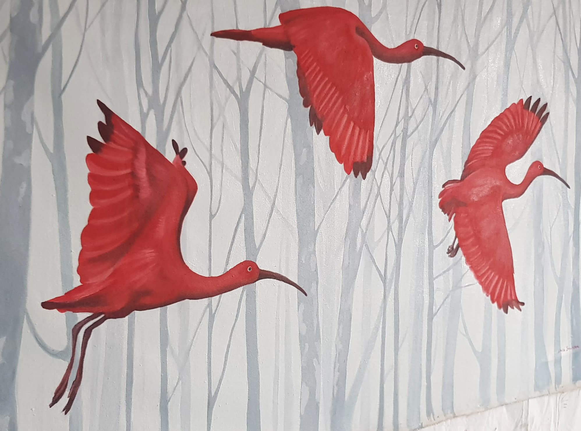 Scarlet Ibises Trio II de Daria Startseva - art24
