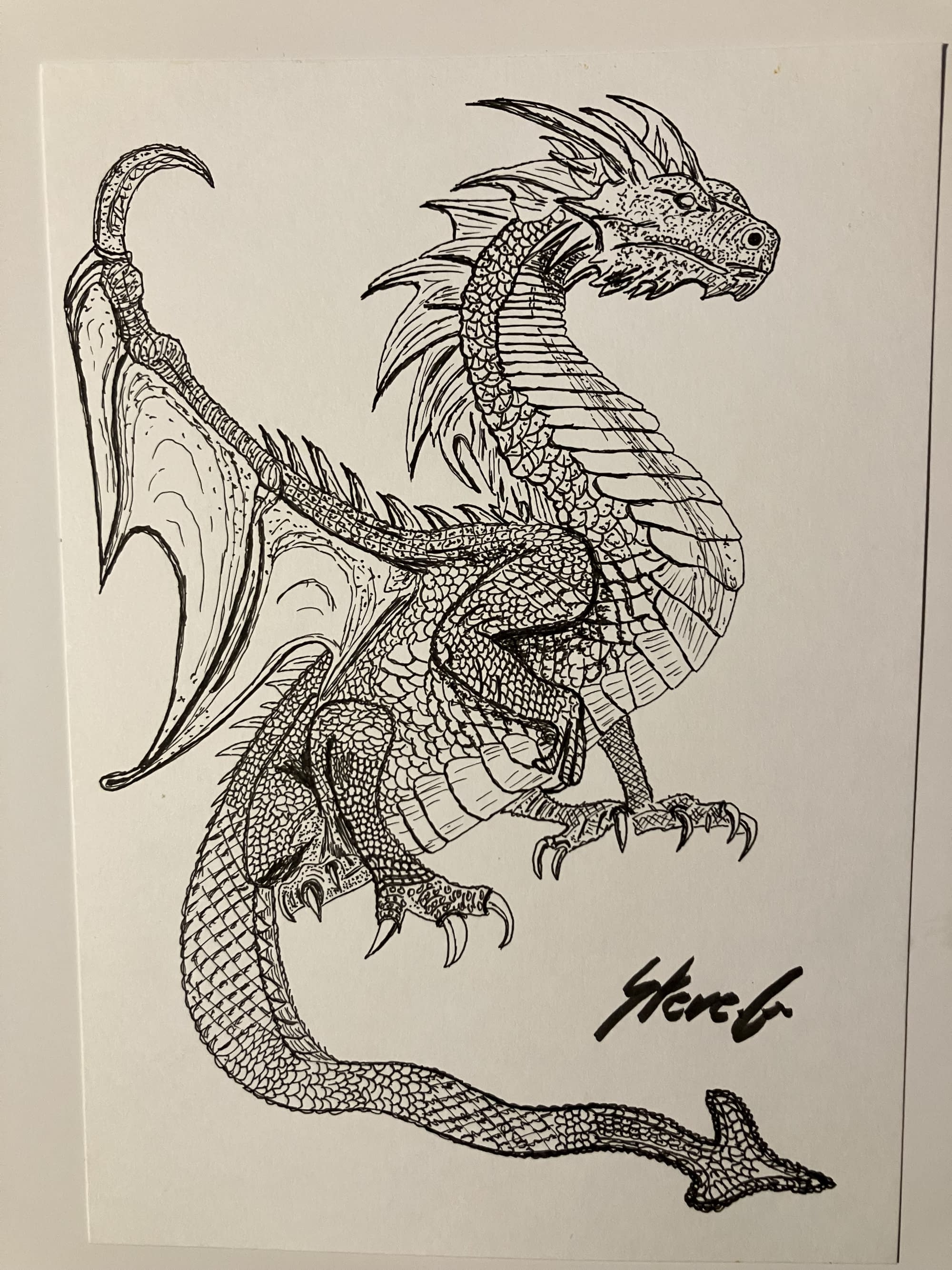 Le dragon from Steve.G - art24